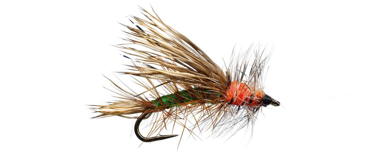 Patagonia Fly Fishing Adventures | Guided Fly Fishing Trips